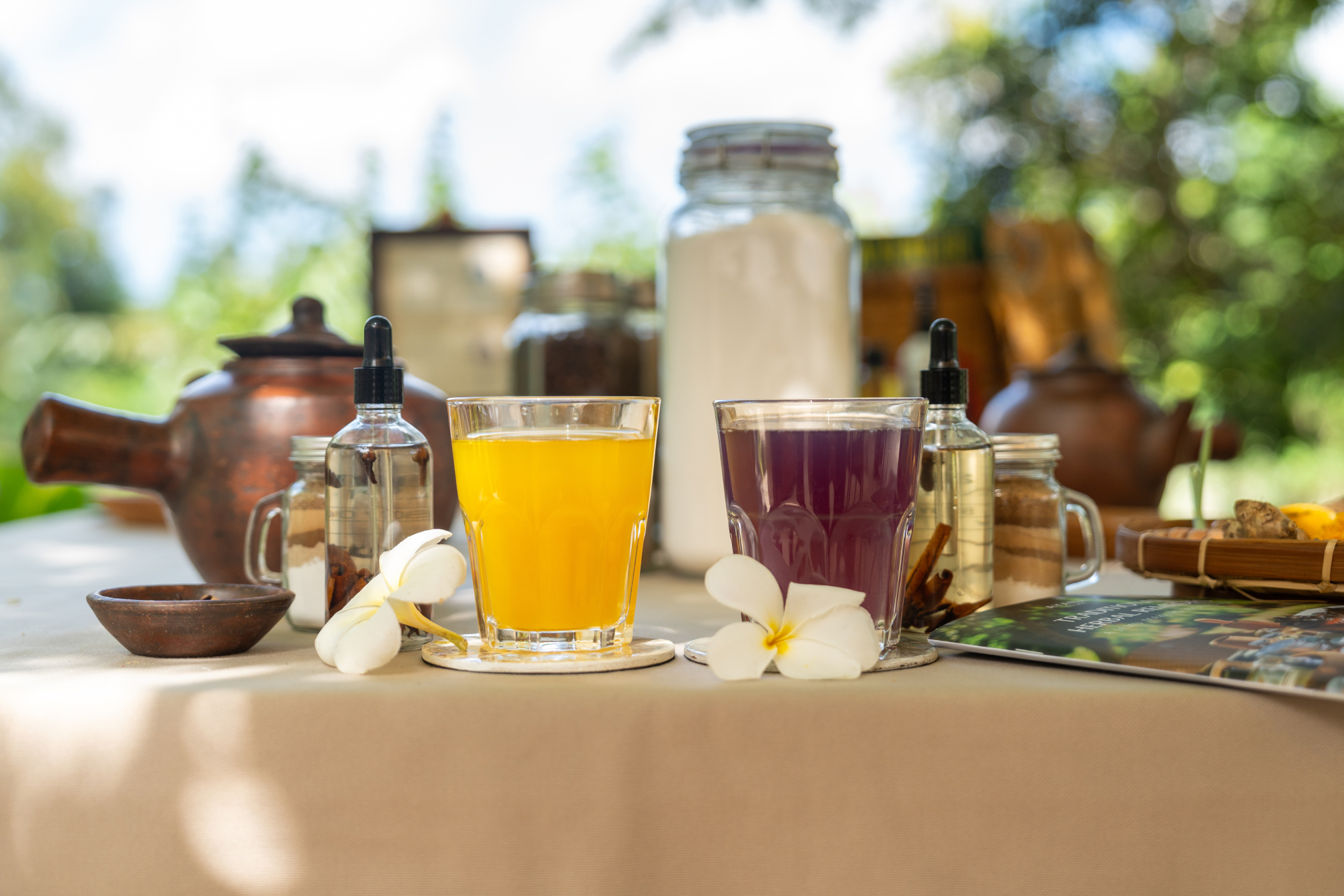 Experience the Healing Art of Jamu: Join Our Traditional Herbal ...